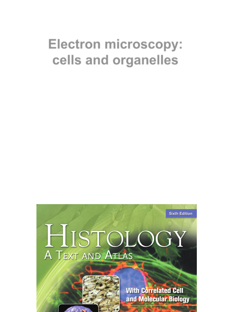 Cell and Organelles | PDF