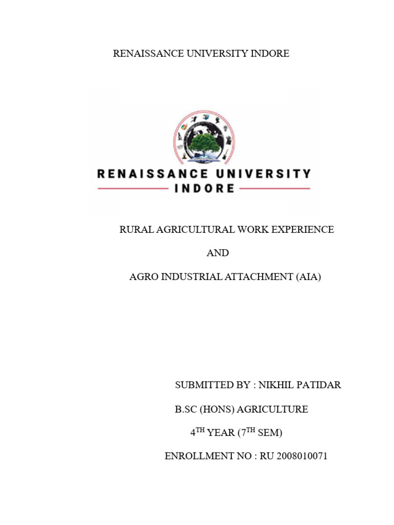 Vishal Rawe Report | PDF