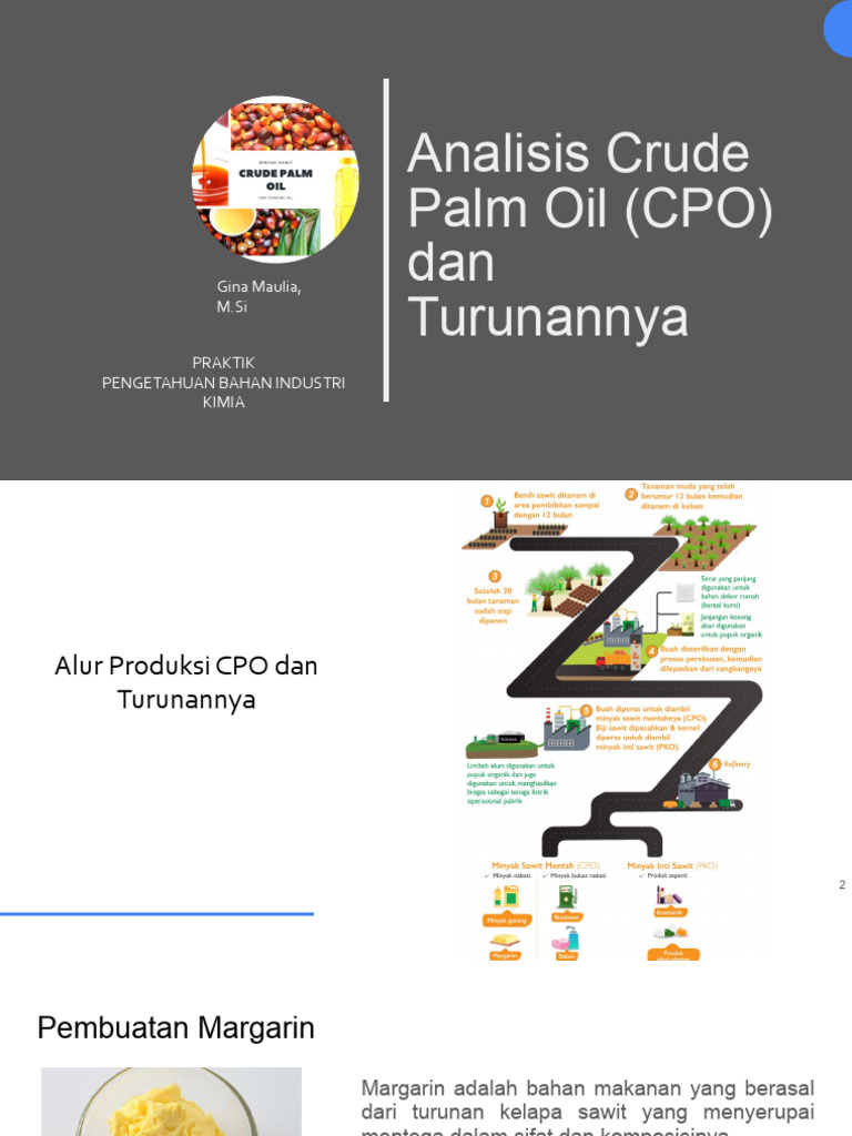 Copy Analisis Crude Palm Oil (CPO) Dan Turunannya | PDF