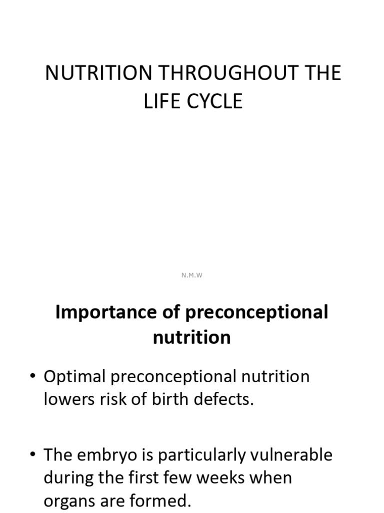 Nutrition Throughout The Life Cycle | PDF