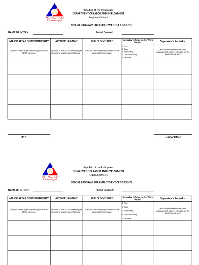 Accomplishment Report DTR SPES | PDF