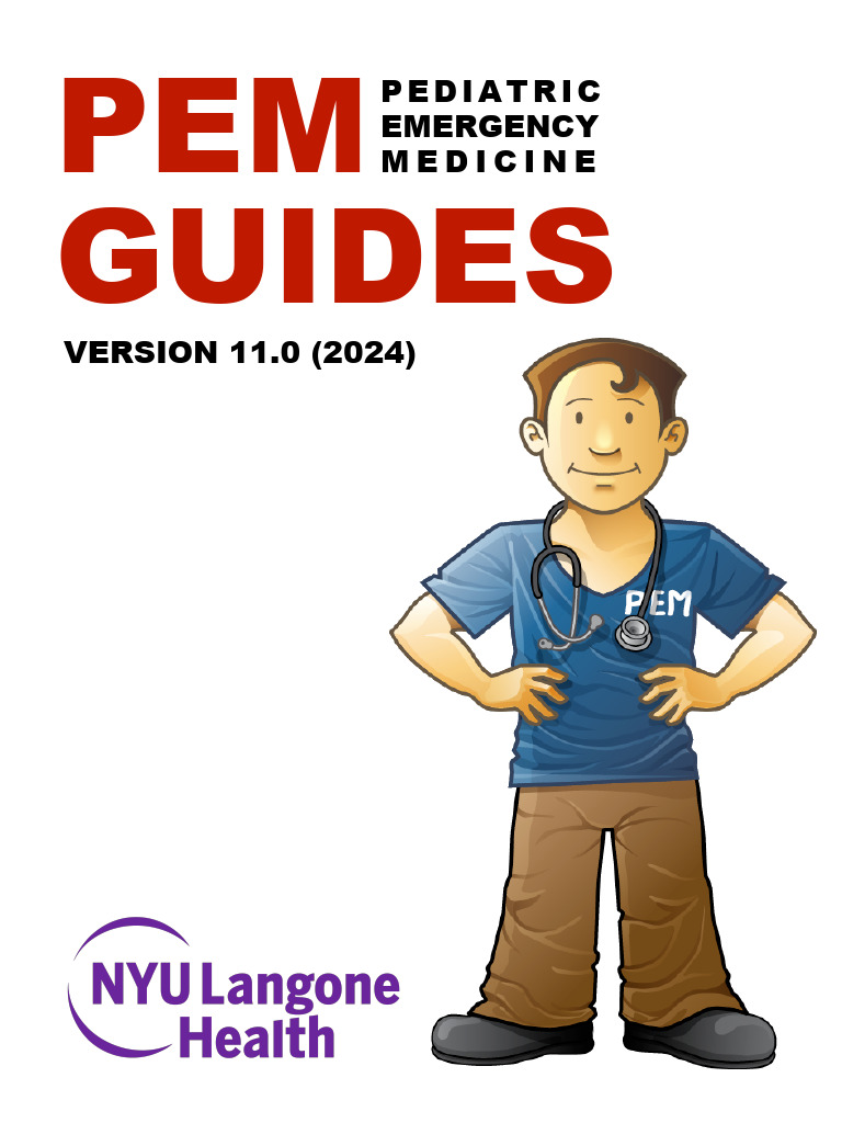 PEM Guide 11.0 (May2024) | PDF