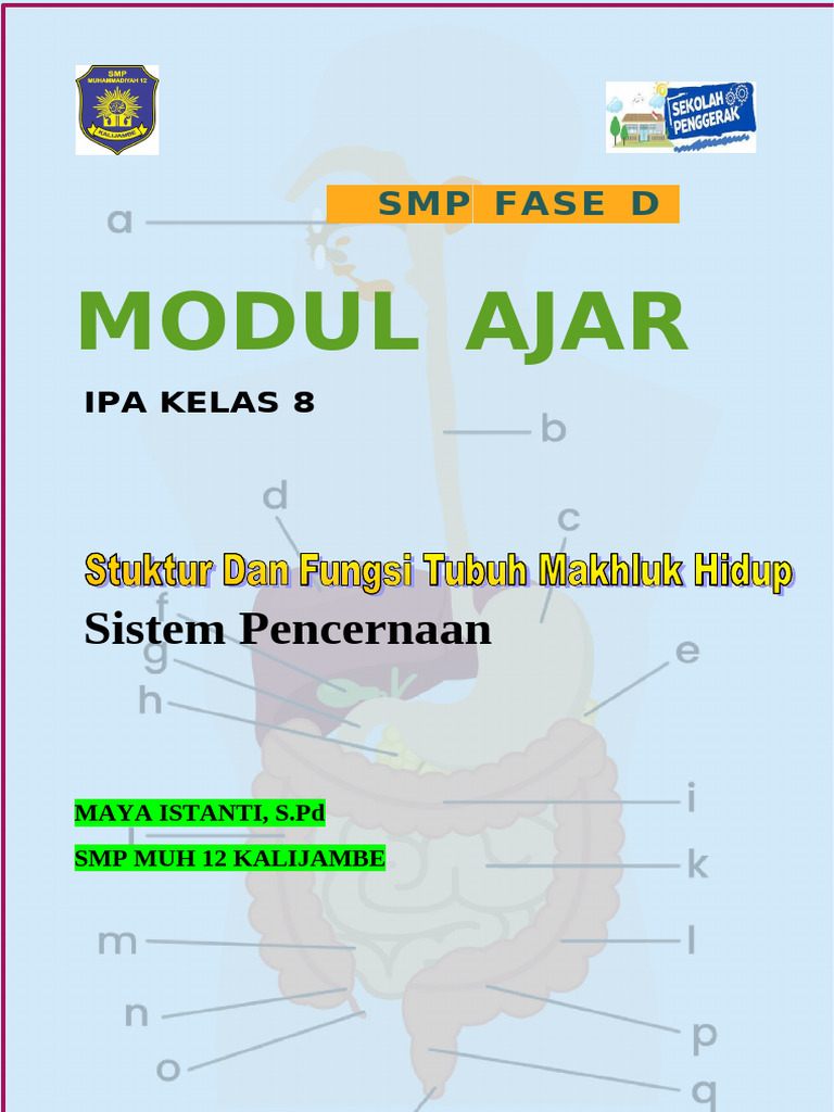 Modul Ajar Ilmu Pengetahuan Alam (IPA) - Modul Ajar Sistem Pencernaan ... Modul Ajar Ilmu Pengetahuan Alam (IPA) - Modul Ajar Sistem Pencernaan ...