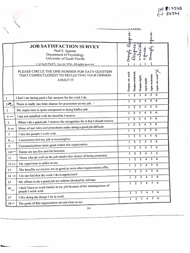 Job Satisfaction Survey | PDF
