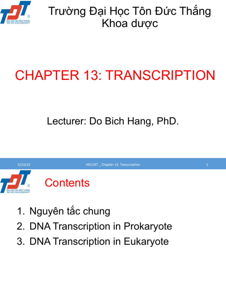 Chapter 13: Transcription: Lecturer: Do Bich Hang, PHD | PDF