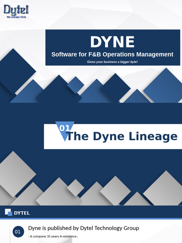 Dyne - Pos | PDF