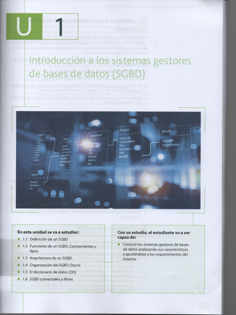 SGBD Unidad 1 | PDF