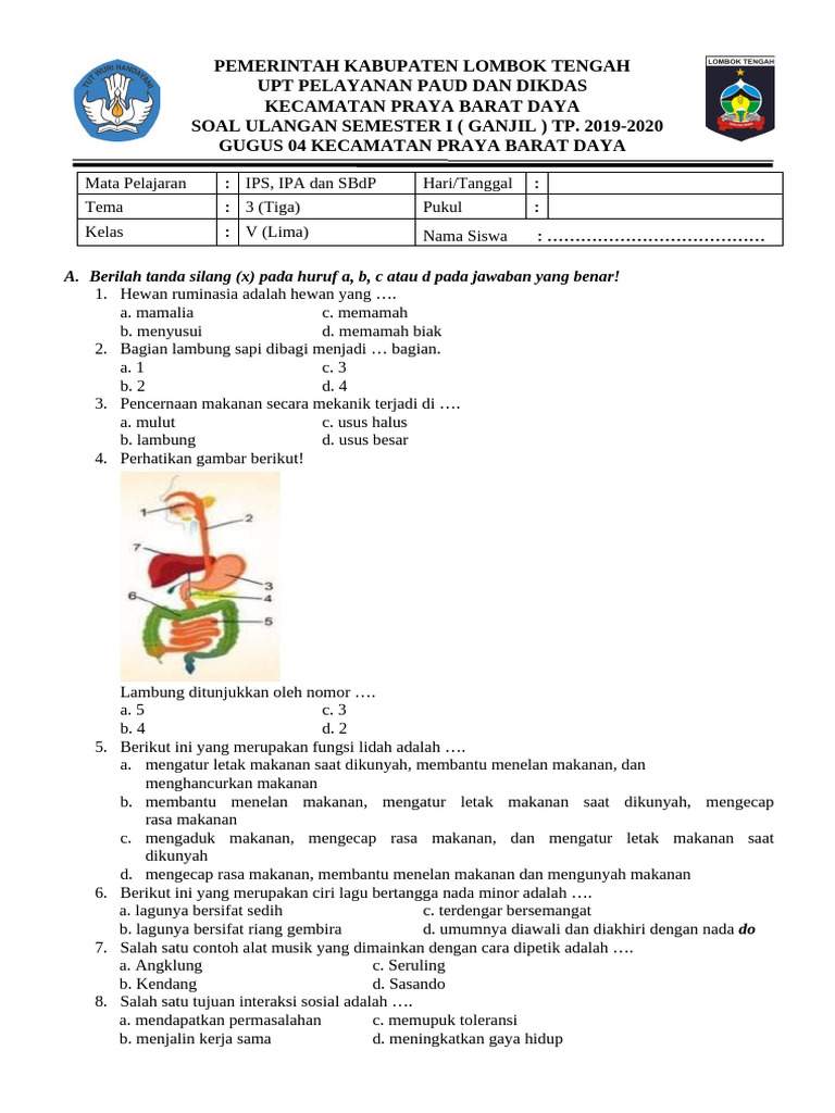 KELAS 5 Ipa Ips, SBDP | PDF