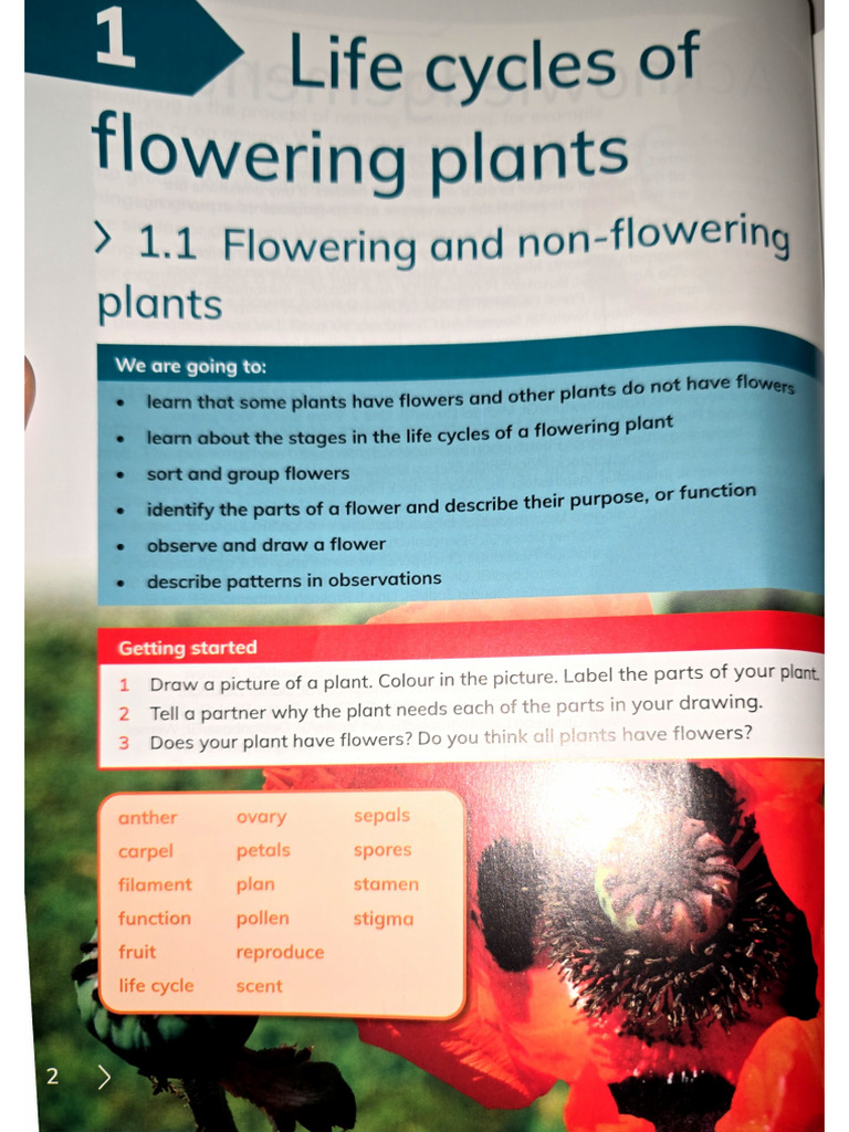 Grade 5 Cambridge Science Workbook | PDF