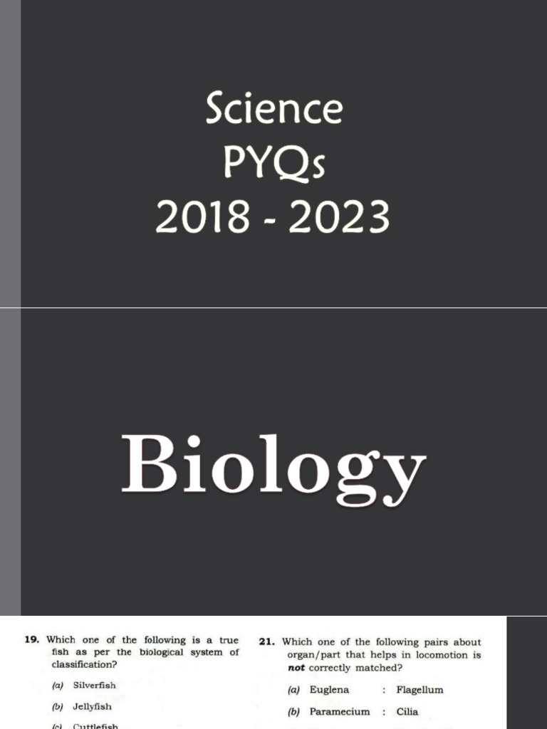 PYQs | PDF