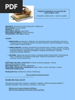 Primjer Izjave | PDF