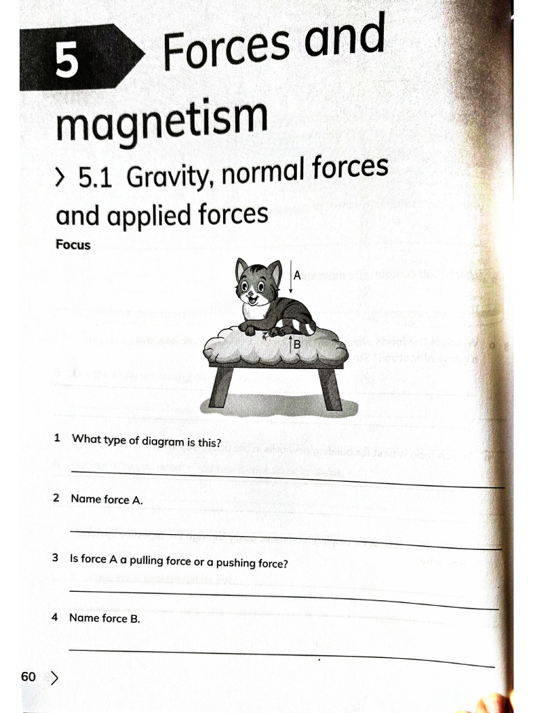 Magnetism, Gravity and Forces Cambridge Workbook 5 | PDF