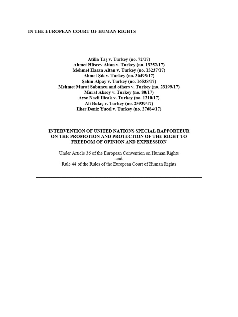 Amicus Filing ECHR Turkey UNSR | PDF