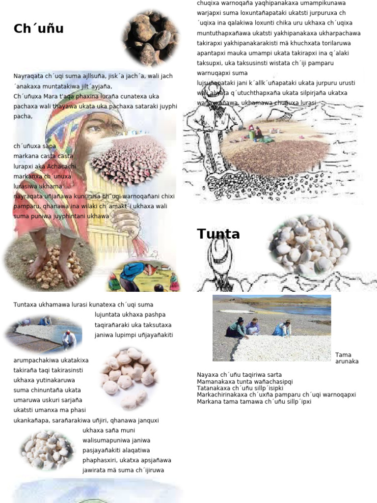 CH Uño | PDF