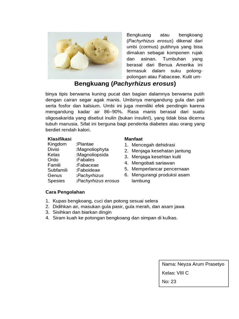 Bengkuang | PDF