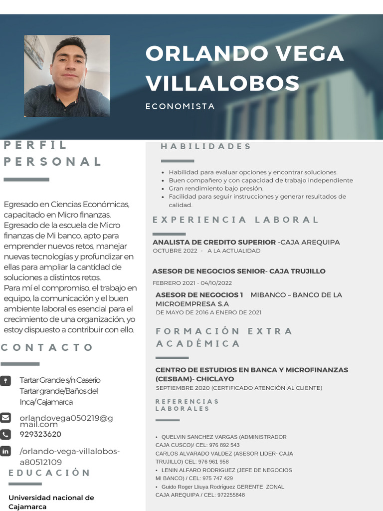 CV Actualizado | PDF | Economias