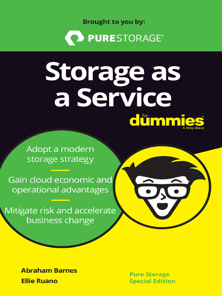 Eb Storage As A Service For Dummies | PDF