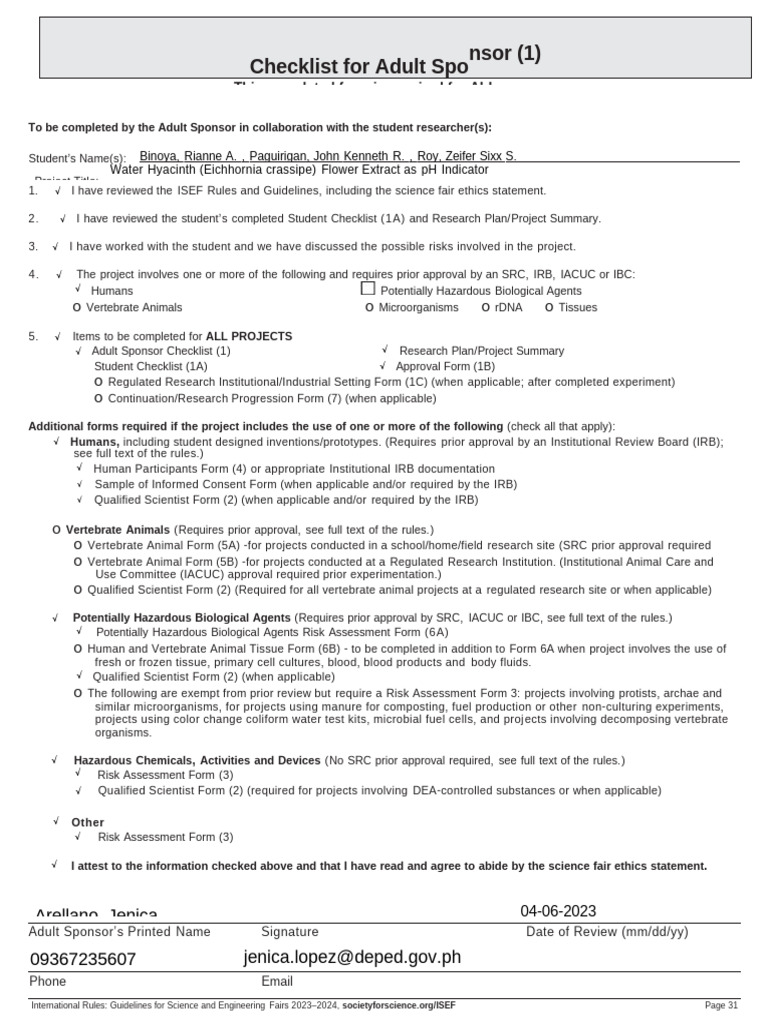 1 Checklist For Adult Sponsor | PDF