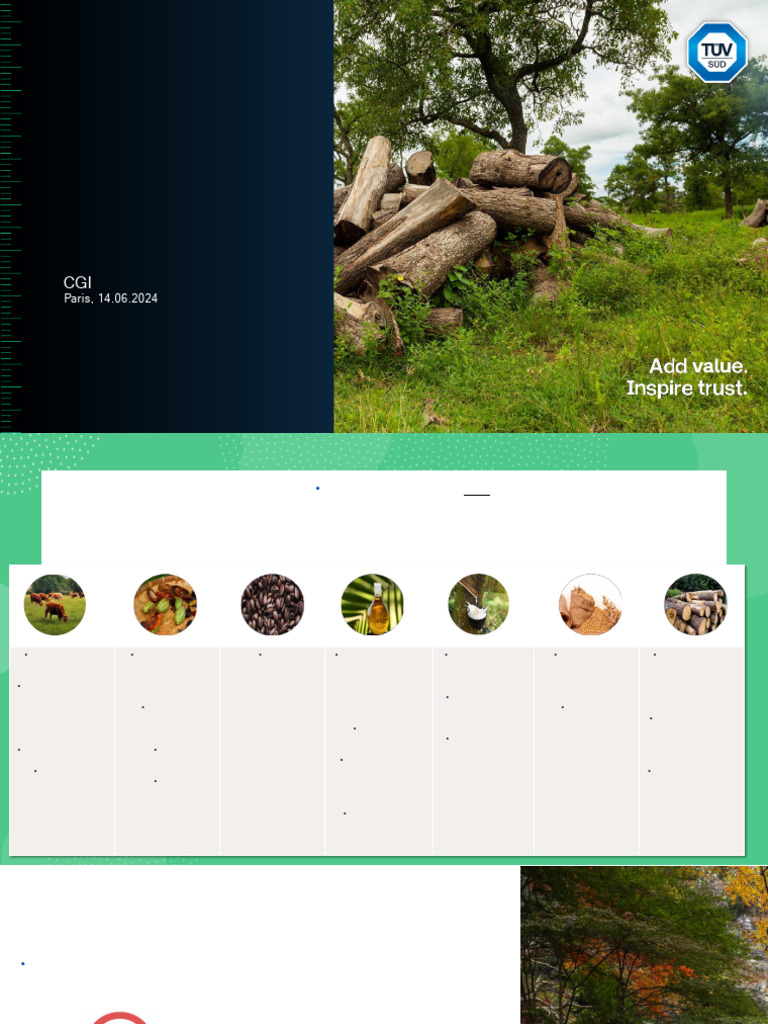 TÜV SÜD EUDR Service | PDF