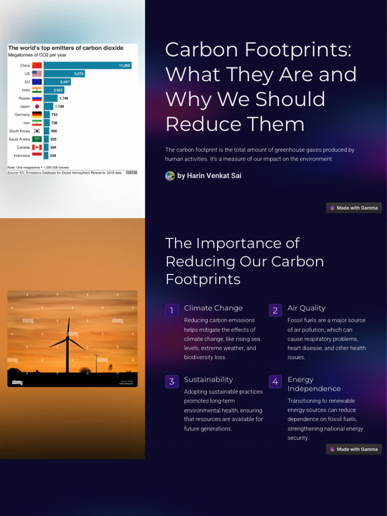Carbon Footprints What They Are and Why We Should Reduce Them | PDF