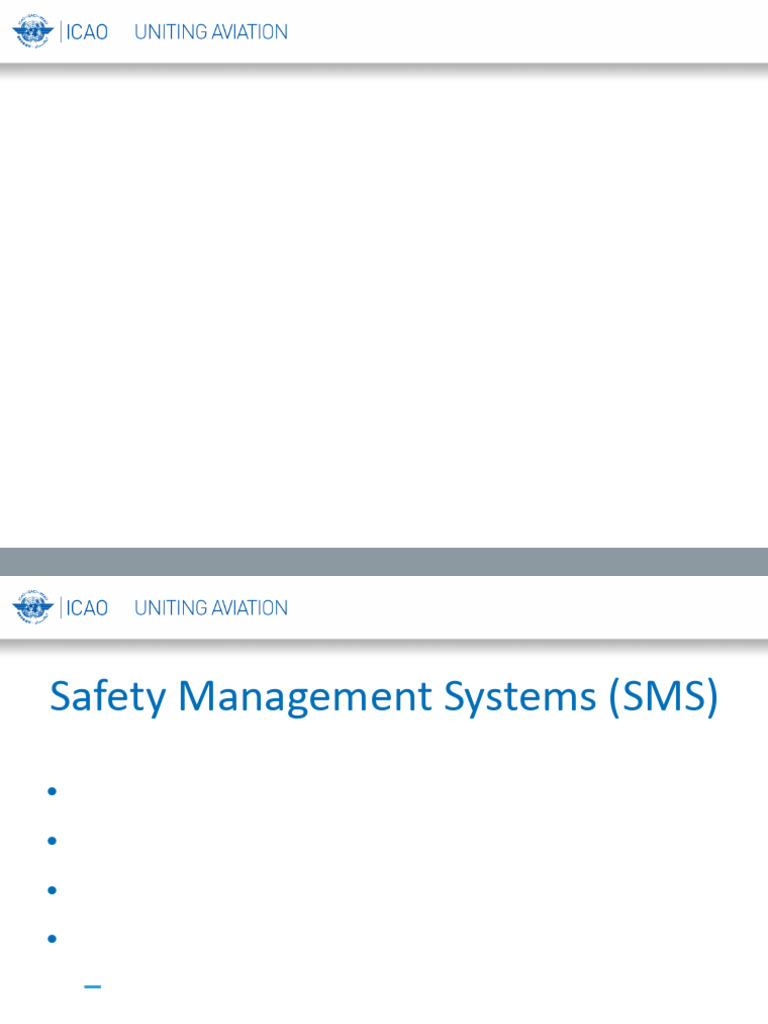 ICAO SMS and Dangerous Goods | PDF