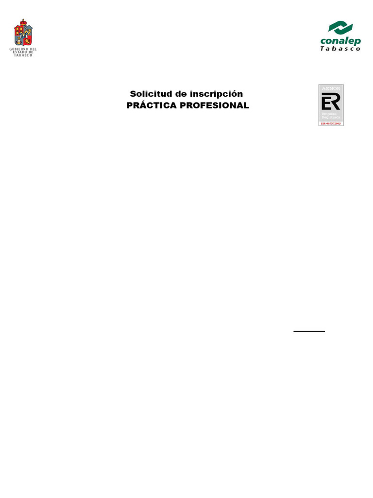 Solicitud para Práctica Profesional | PDF