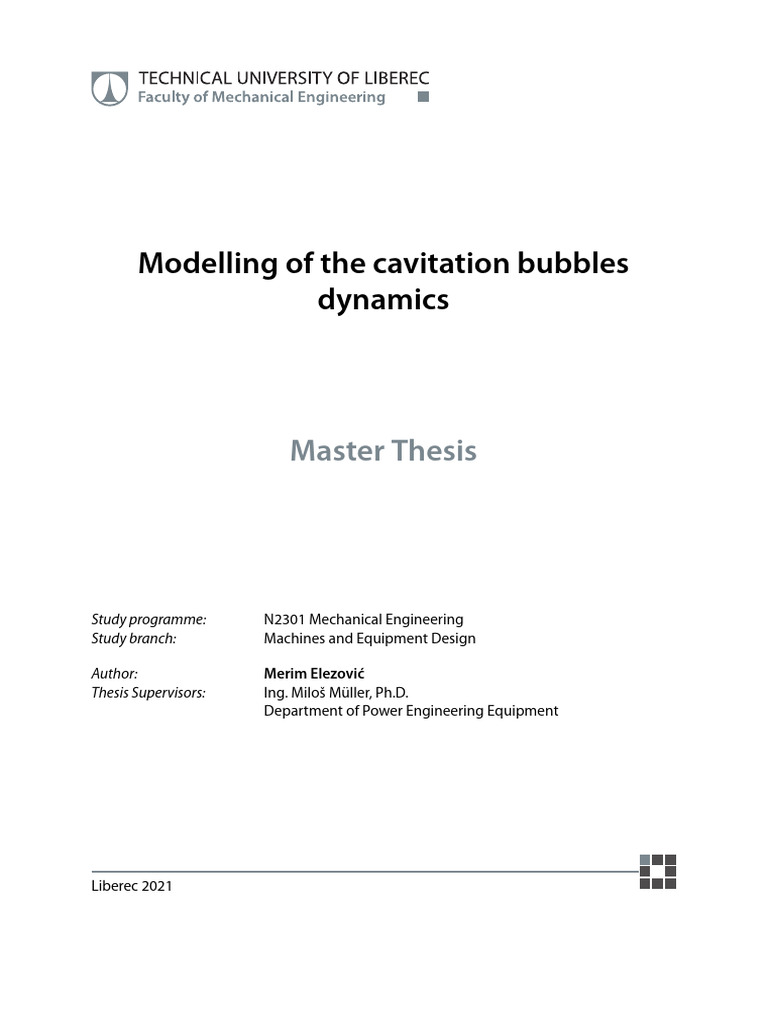 Elezovic 2021 MasterThesis Modelling of The Cavitation Bubbles Dynamics ...