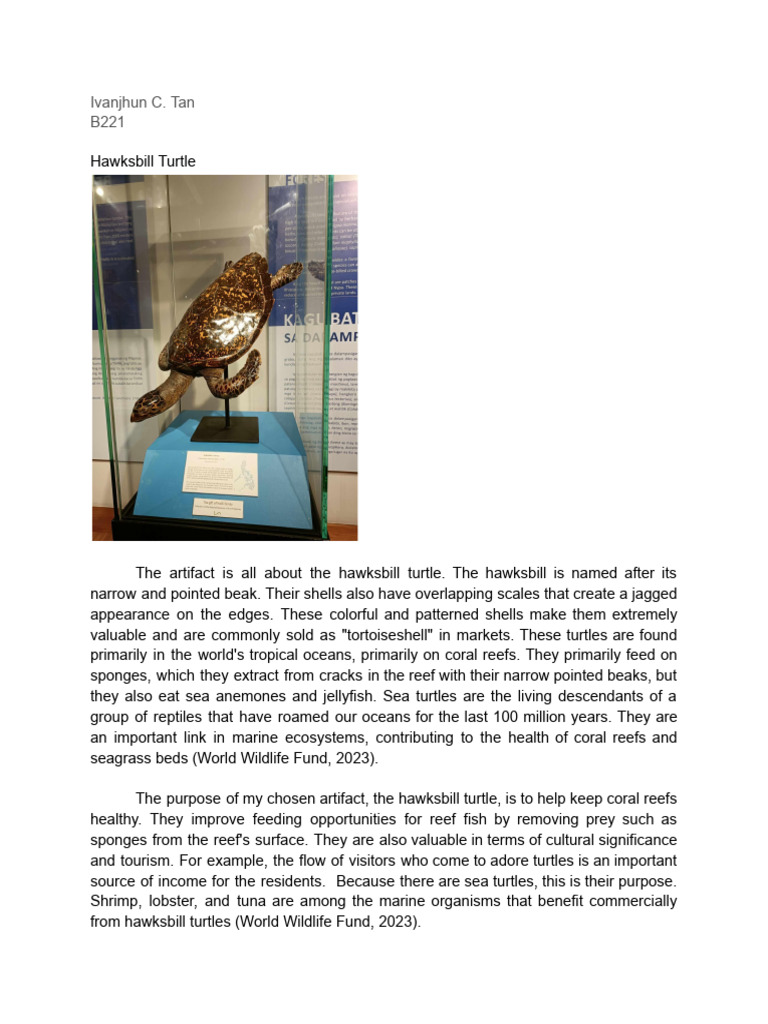 Major Task 1_Prelim_Tan | PDF