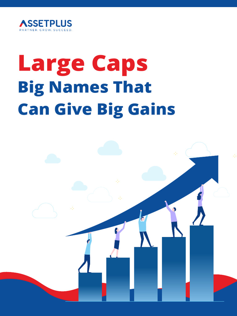 Large Cap Presentation 21449a4f87 | PDF