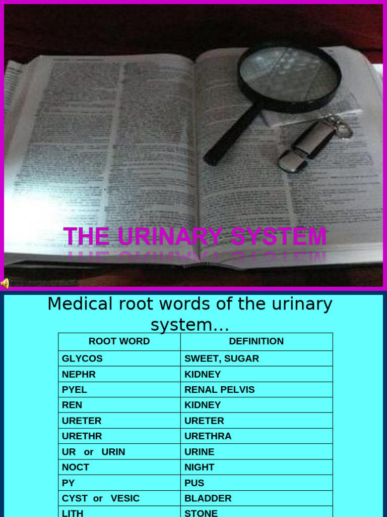 Med Term Urinary System-1 | PDF