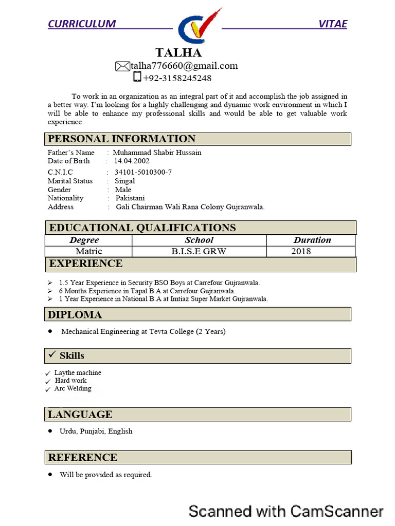 Talha CV | PDF
