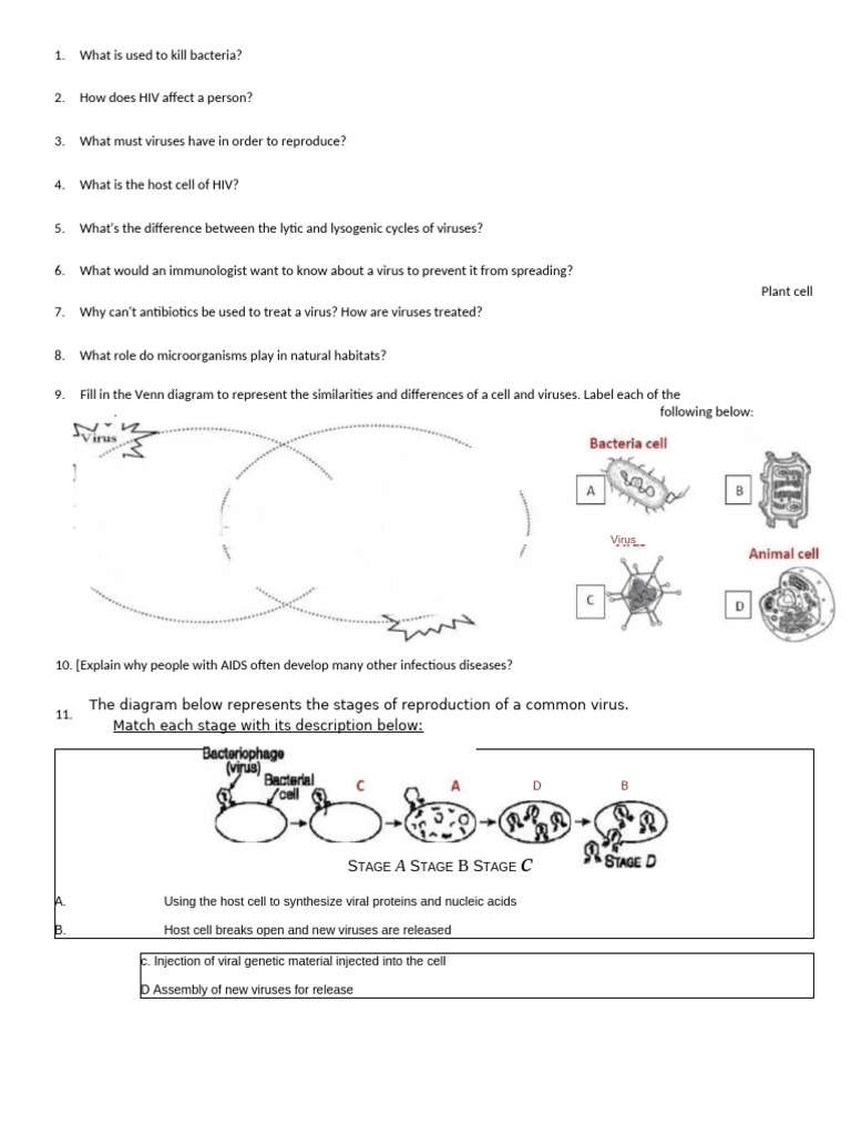 Classification and Viruses - Bacteria Independent Practice | PDF