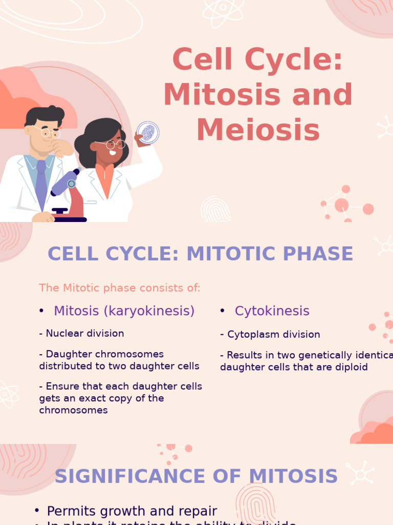 Mitosis | PDF