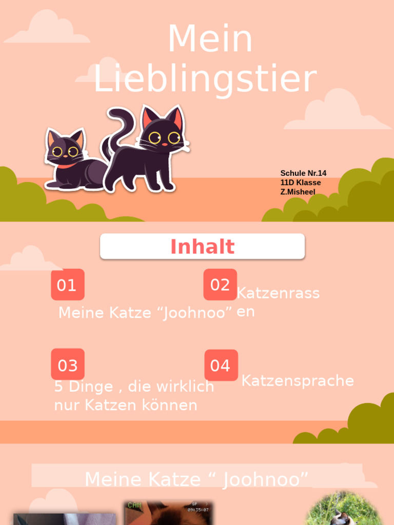 Misheel-Mein Lieblingstier | PDF