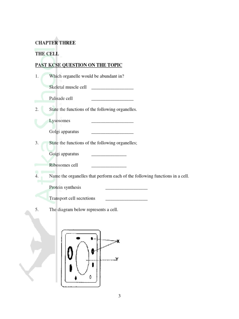 The Cell Biology Form 1 Topical Questions and Answers | PDF