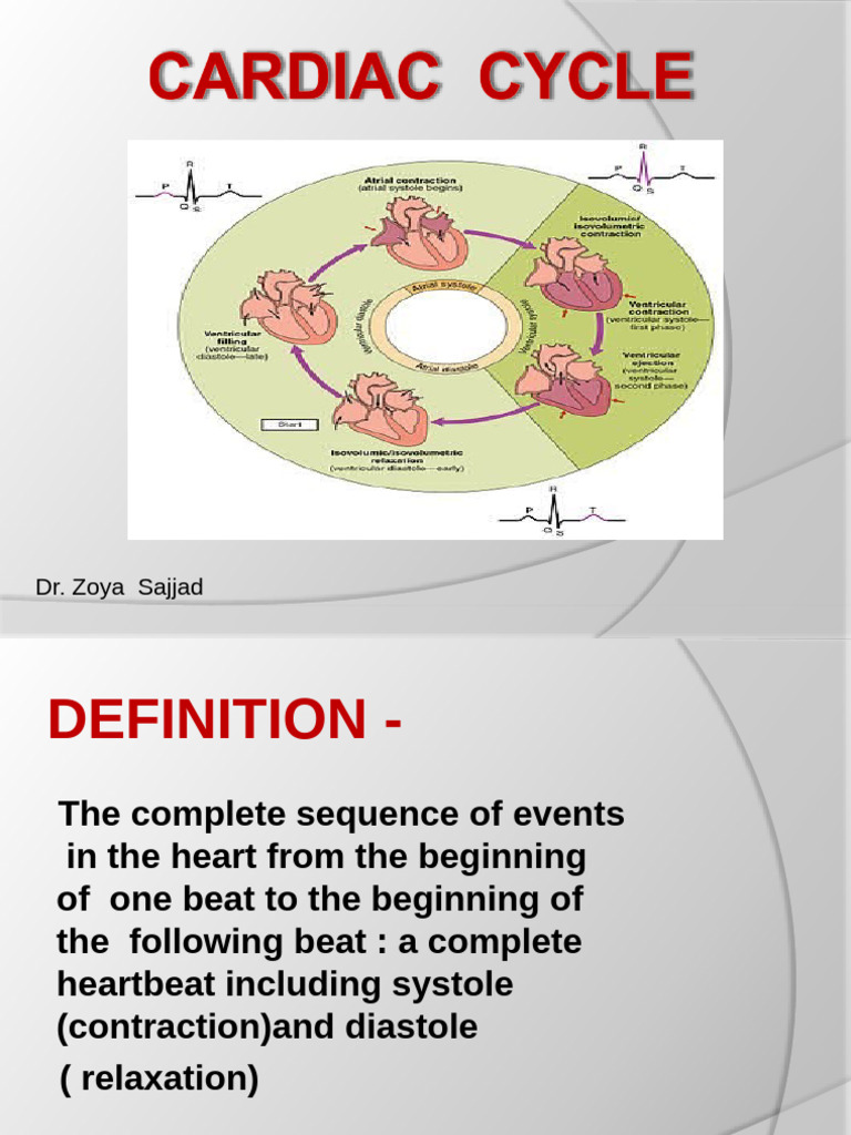 Cardiac Cycle | PDF