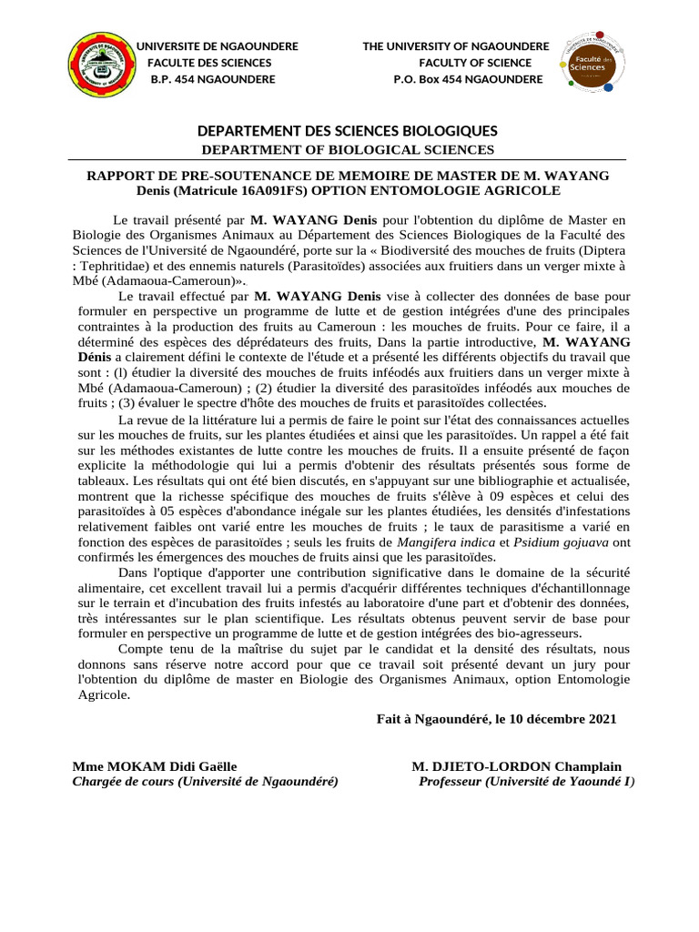 Pre Soutenance | PDF