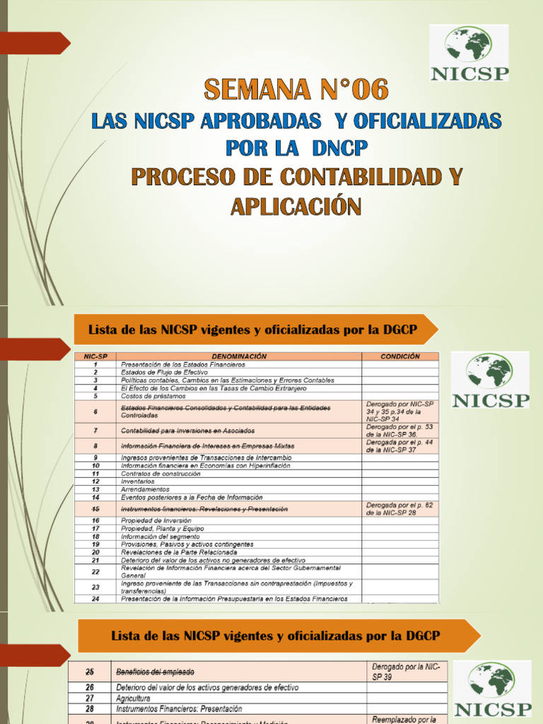 Las NICSP Aprobadas y Oficializadas Por La DNCP | PDF