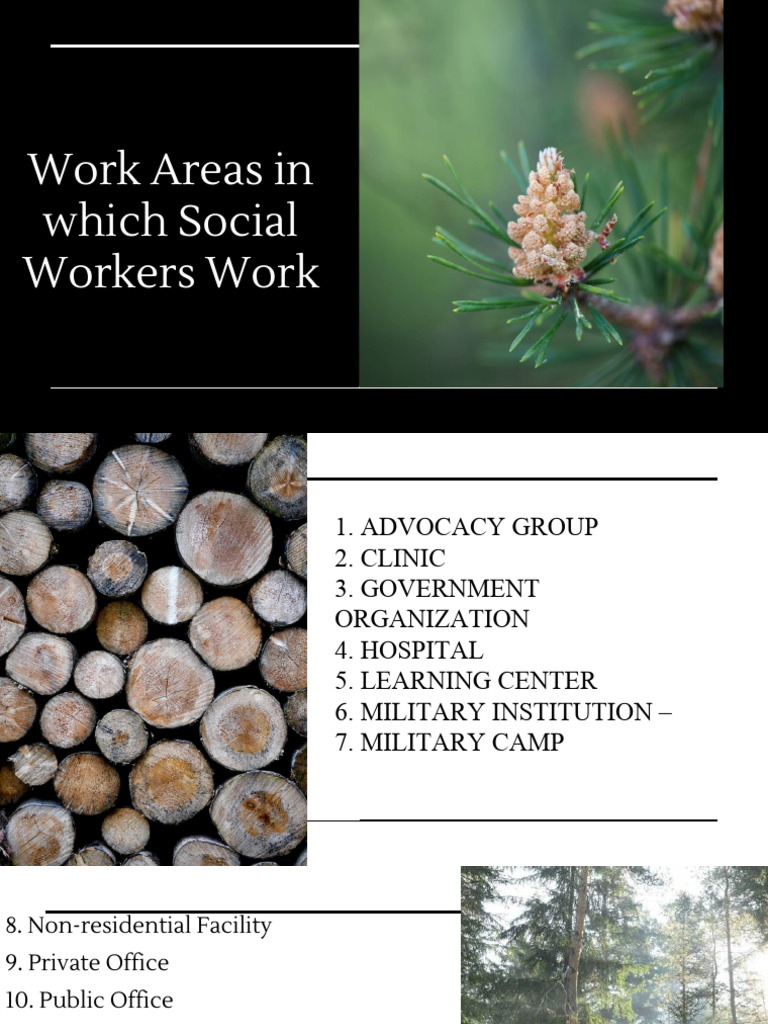 Work Areas Where Social Workers Work | PDF