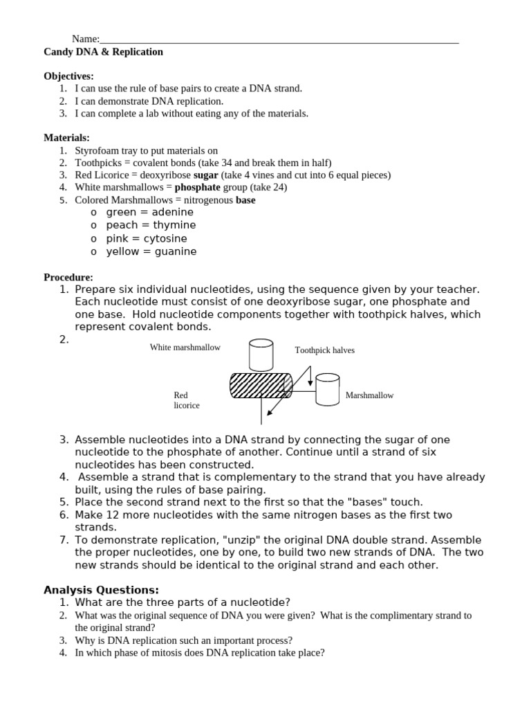 15_ DNA Candy Lab | PDF