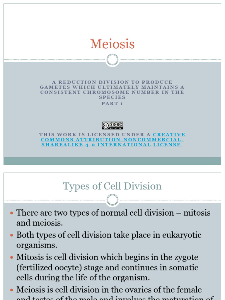5b. Meiosis, Part 1 - PowerPoint | PDF