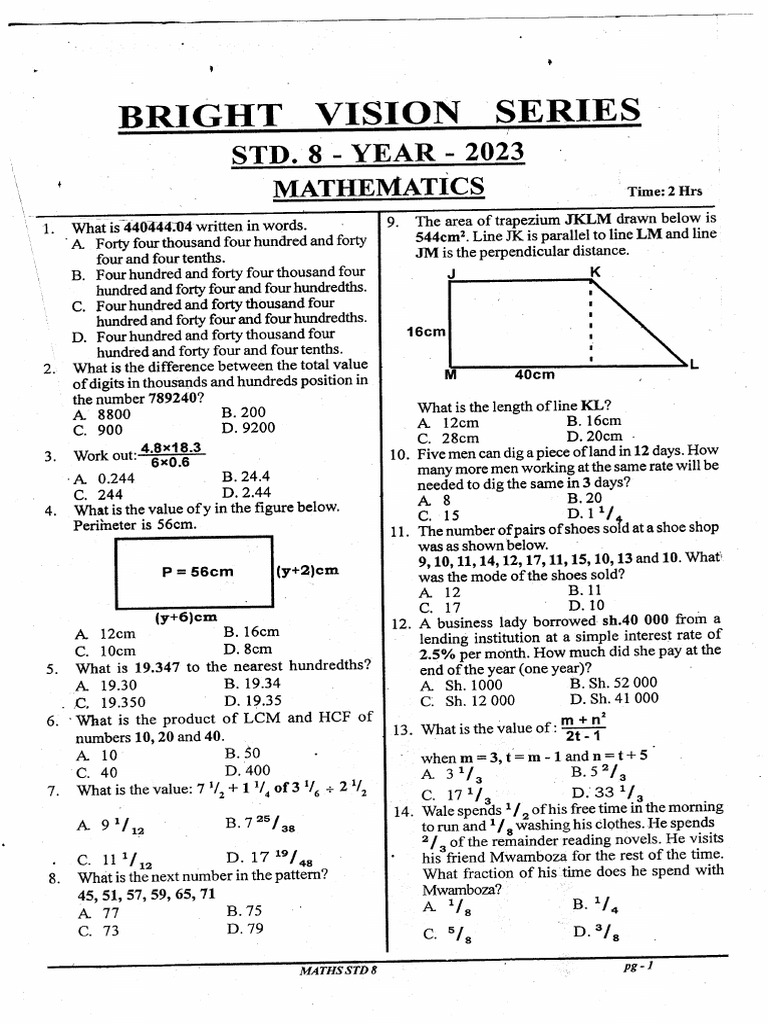STD 8 Bright Vision Series Maths | PDF