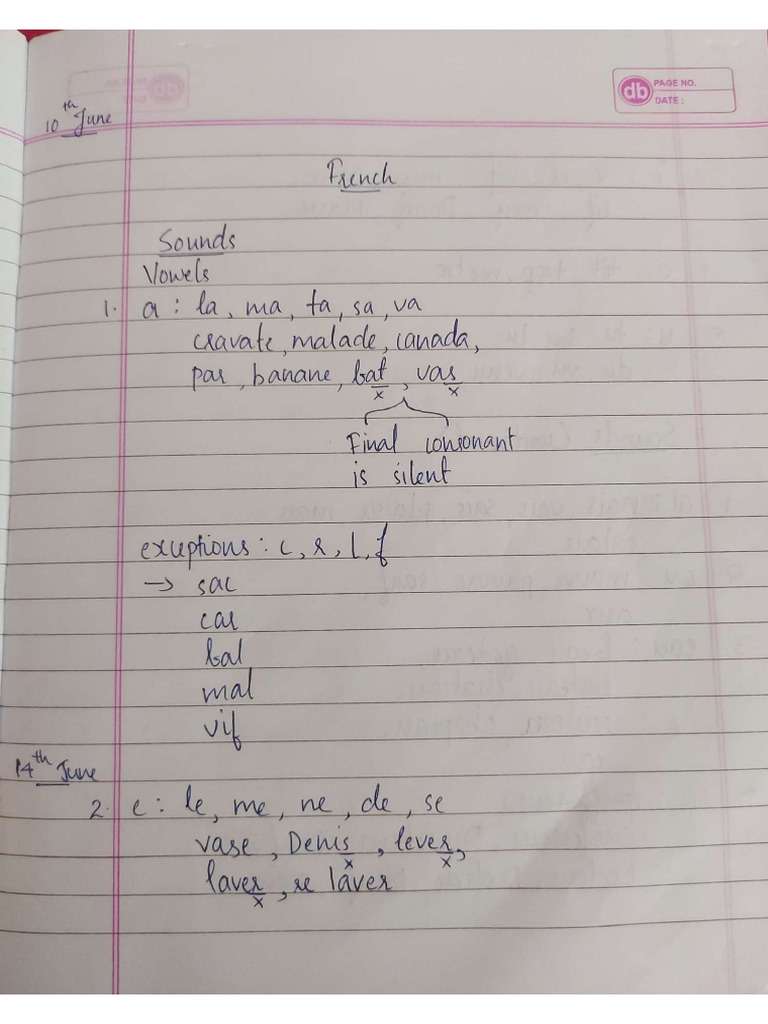 French Notes | PDF