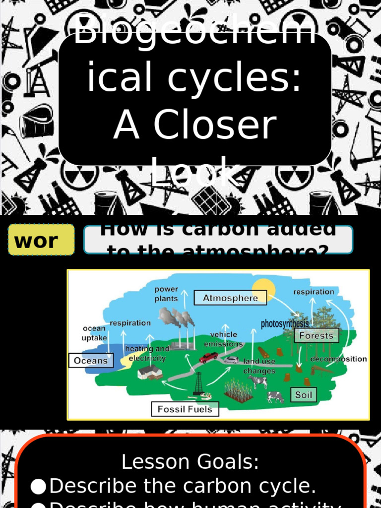 BGC Cycles Student Edition | PDF