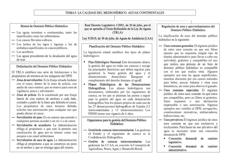 Esquema (TEMA 6) | PDF