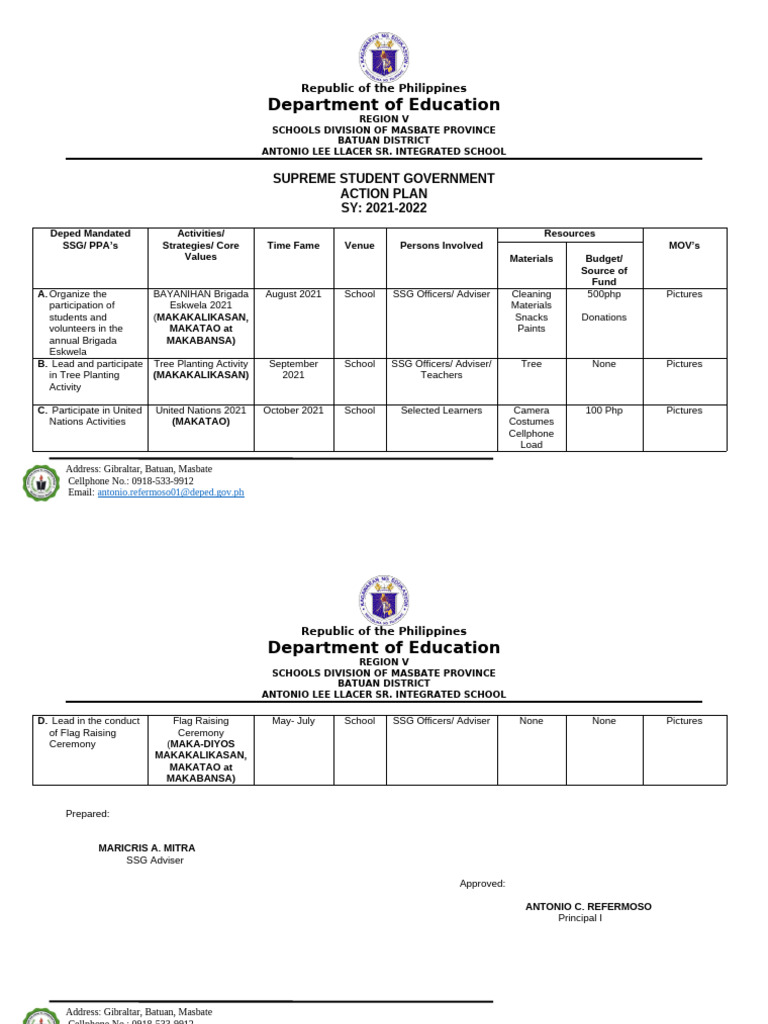 ssg action plan | PDF