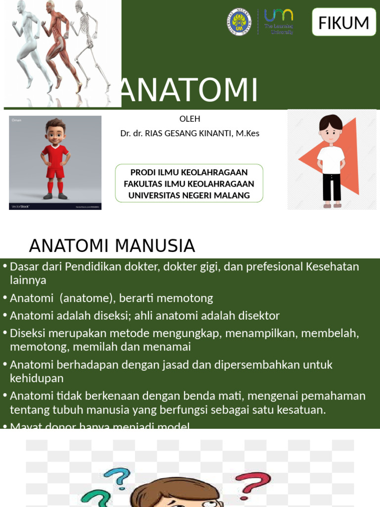 Ikor - Anatomi | PDF