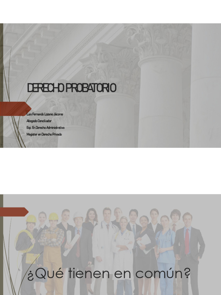 Modulo de Derecho Probatorio PDF | PDF