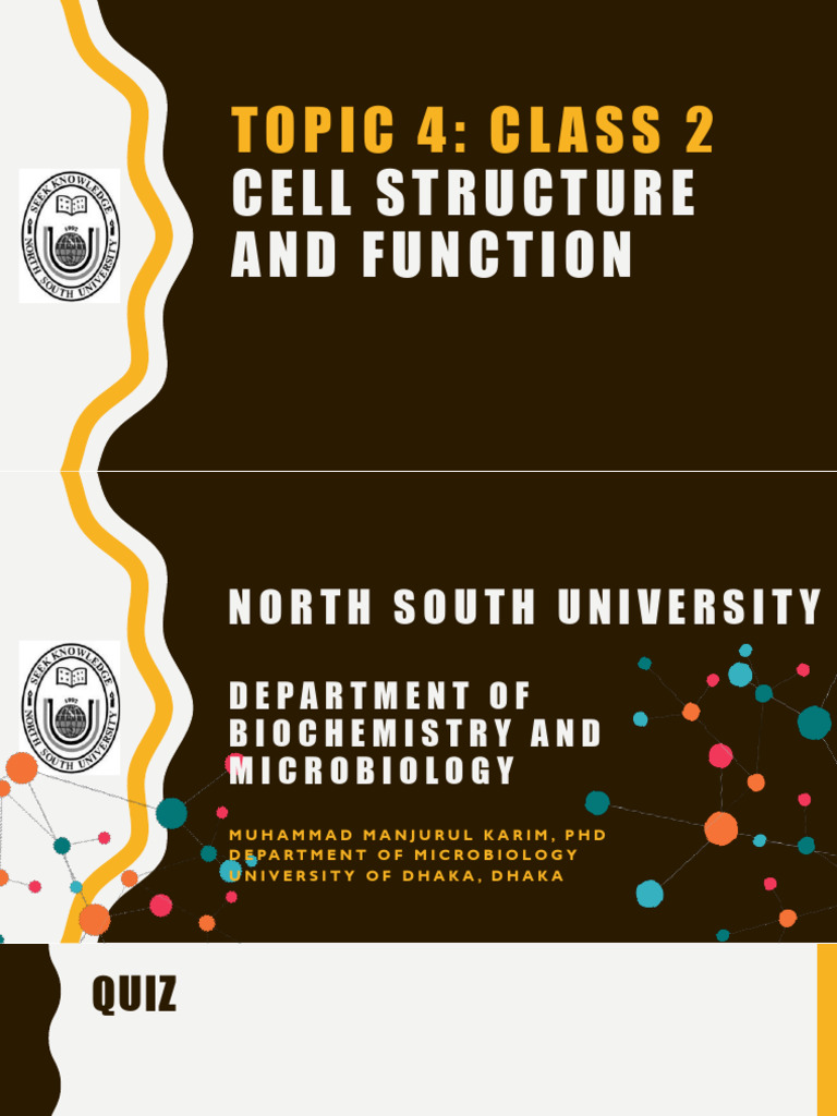 9 4 2+euk+cell | PDF | Endoplasmic Reticulum | Chloroplast