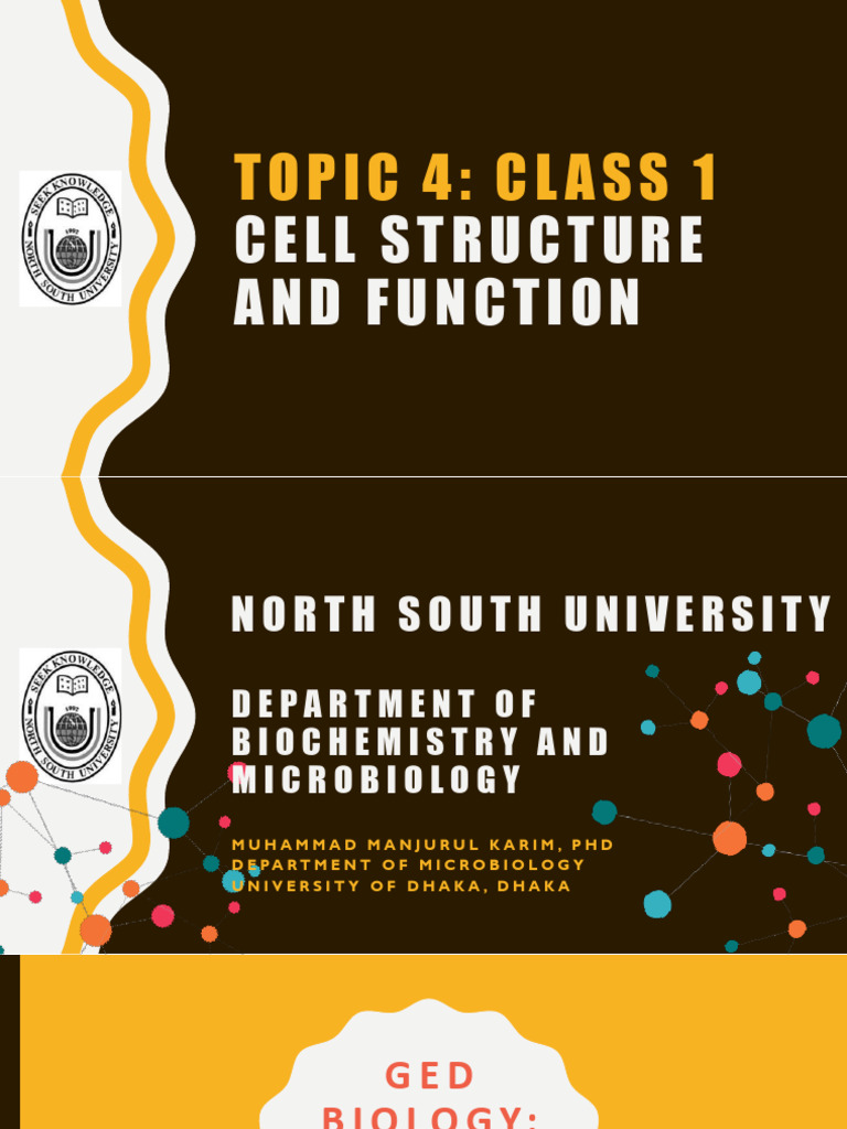 8 4 1+prok+cell | PDF | Cell (Biology) | Bacteria
